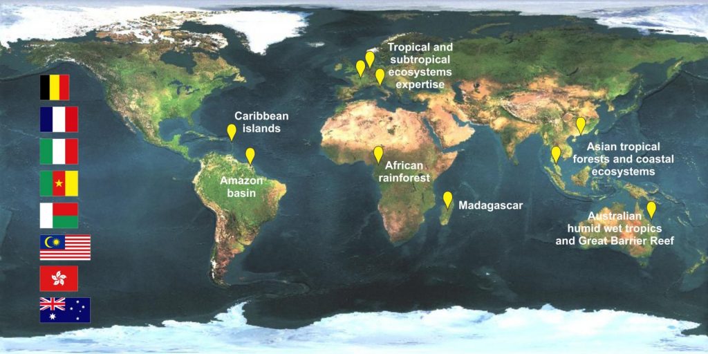 Beca TROPIMUNDO, Maestría en Biodiversidad y Ecosistemas Tropicales