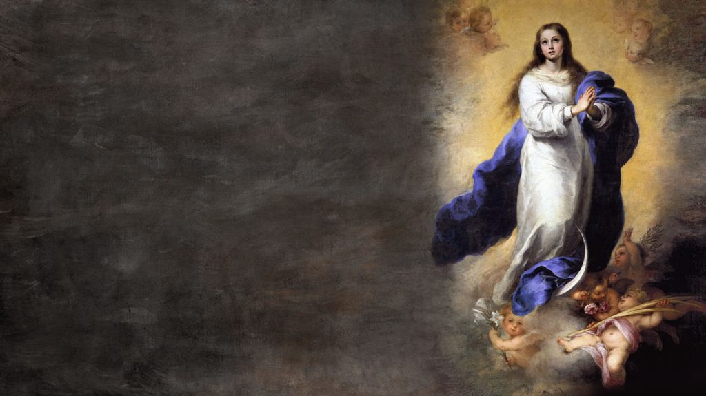 Fiesta de la purísima - CampUCSS