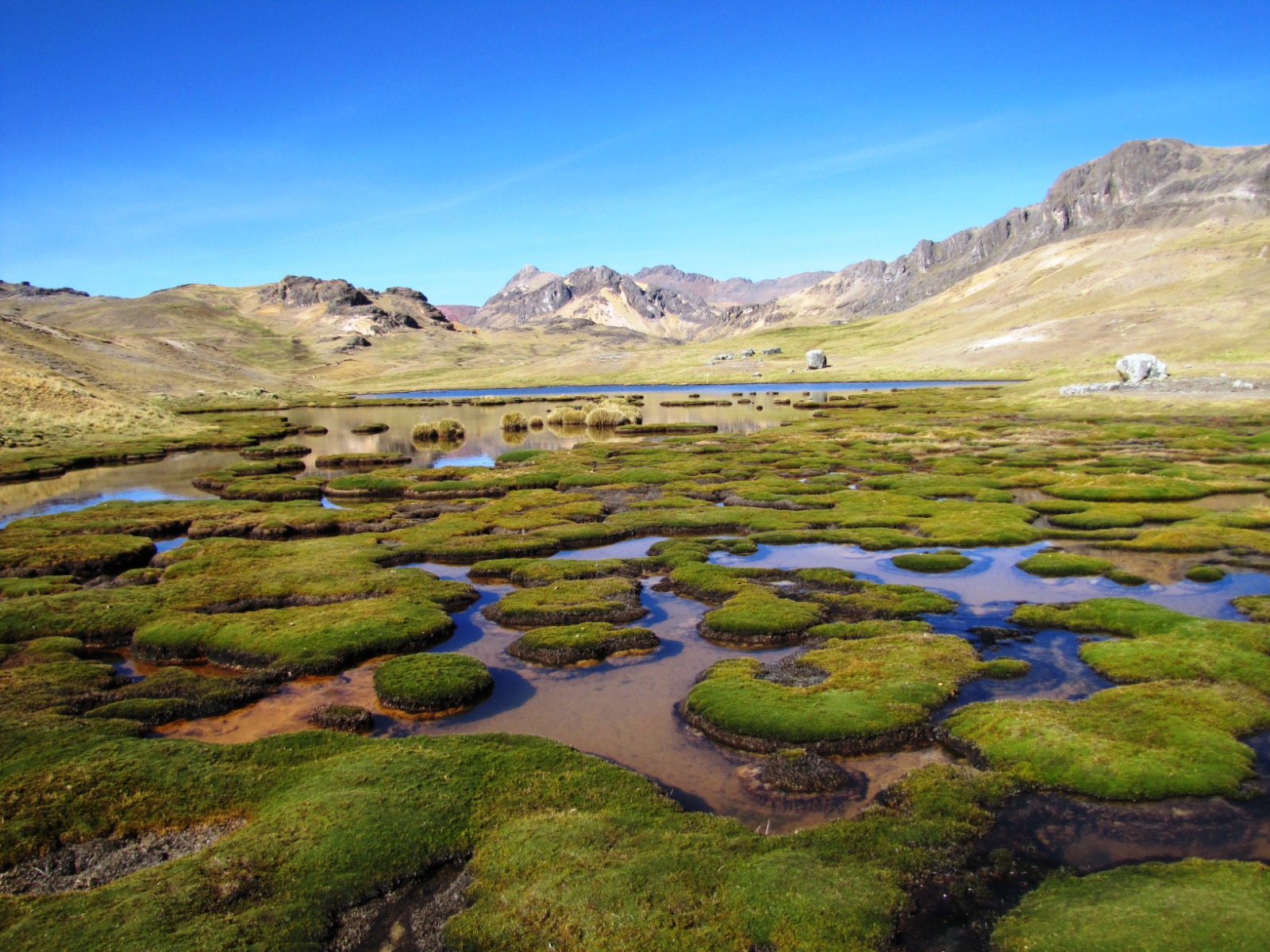 FCAA PRESENTA LIBRO SOBRE LOS BOFEDALES DEL PERÚ